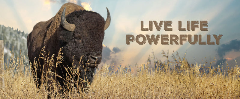 Tanka Bar - Native American National Foods - Bison Meat Bars