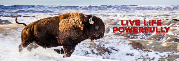 Tanka Bar - Native American National Foods - Bison Meat Bars